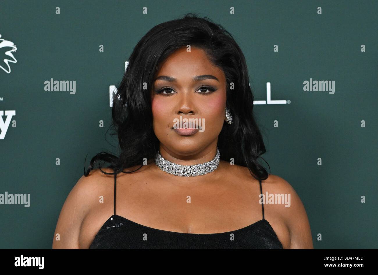 Lizzo arriving to the 2025 Baby2Baby Gala presented by Paul Mitchell at ...
