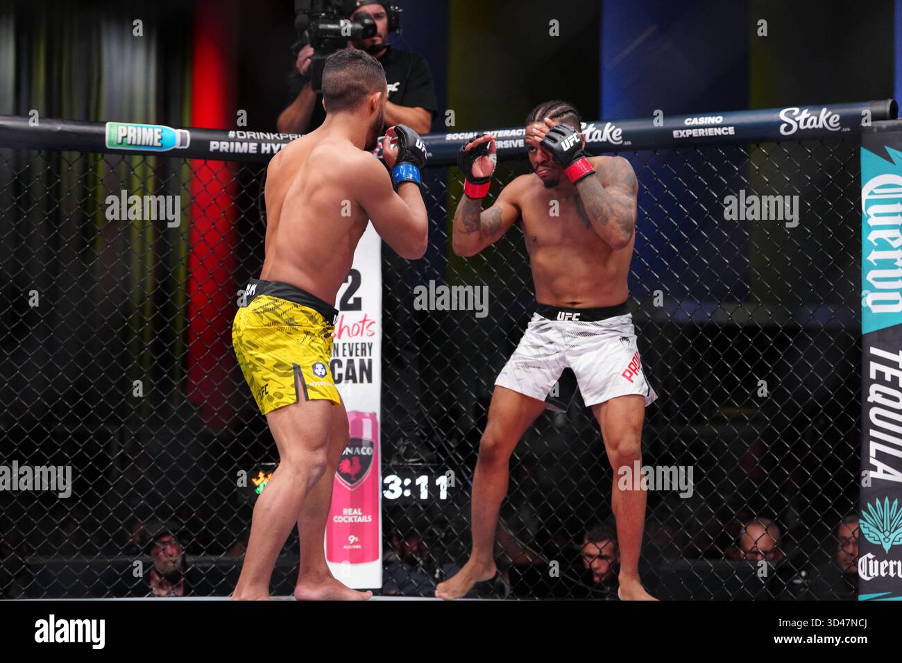 LAS VEGAS, NV - NOV 8: Chris Padilla and Ismael Bonfim meet in the octagon for a 3-round bout at ...