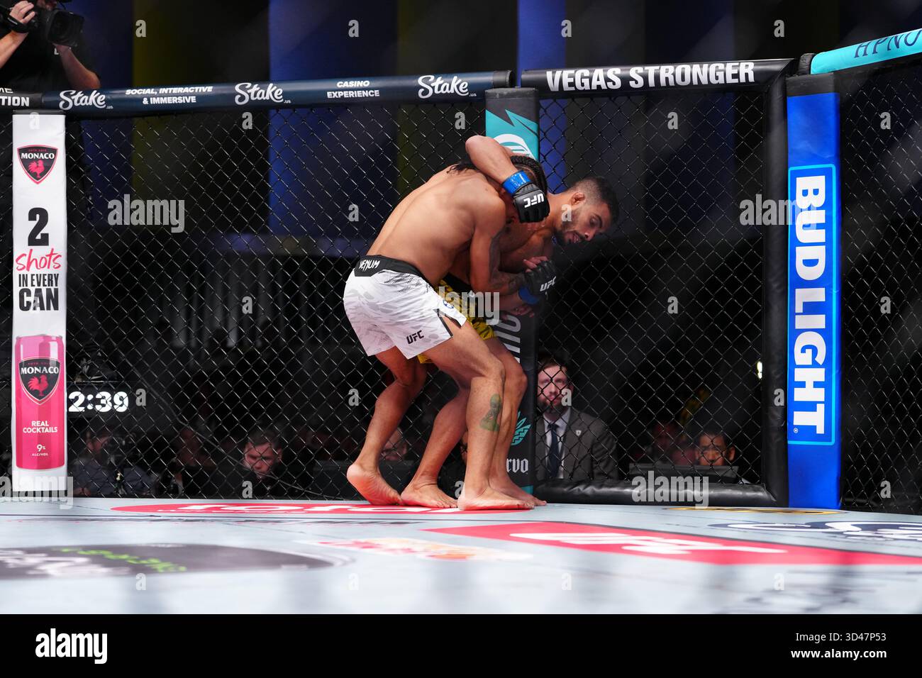 LAS VEGAS, NV - NOV 8: Chris Padilla and Ismael Bonfim meet in the octagon for a 3-round bout at ...