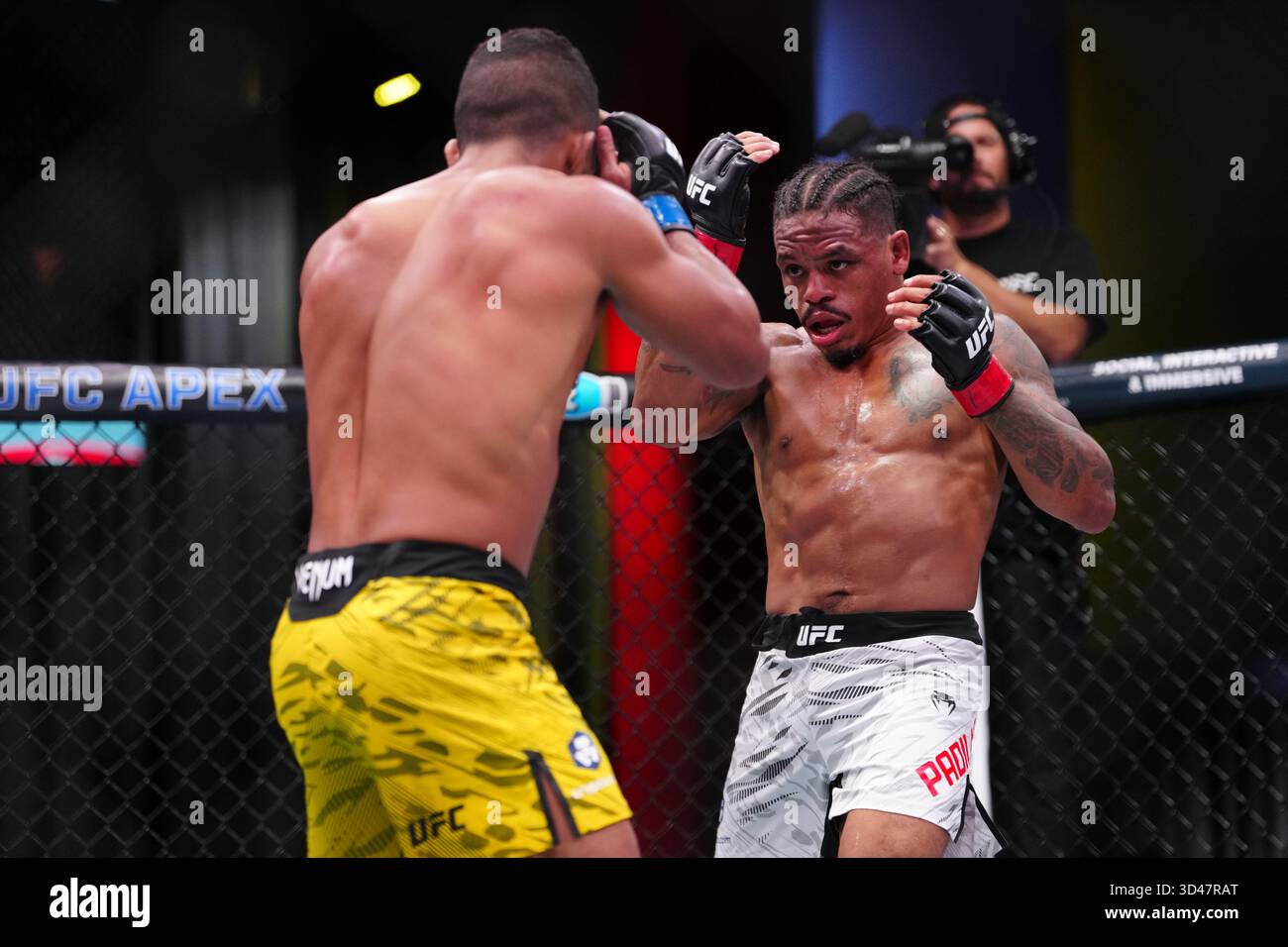 LAS VEGAS, NV - NOV 8: Chris Padilla and Ismael Bonfim meet in the ...