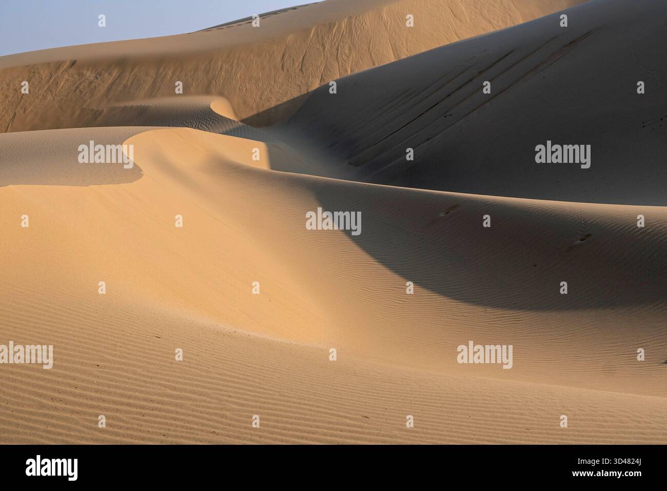 Doha, Qatar - A vast desert landscape with golden sand dunes stretching ...