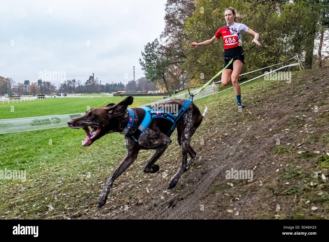The Canicross World Championships at the Pardubice racecourse ...