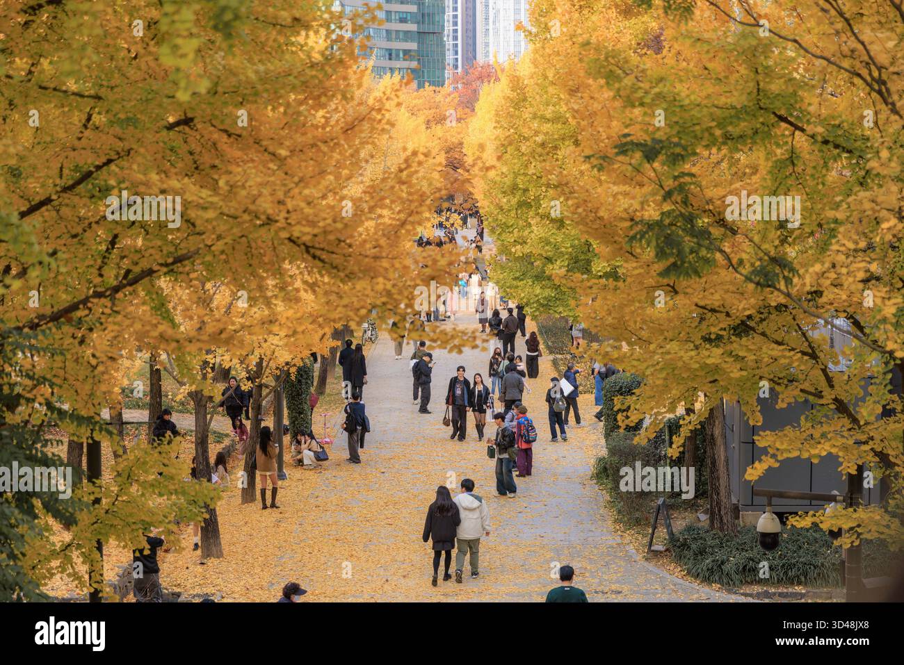 (251109) -- SEOUL, Nov. 9, 2025 (Xinhua) -- People enjoy the autumn ...