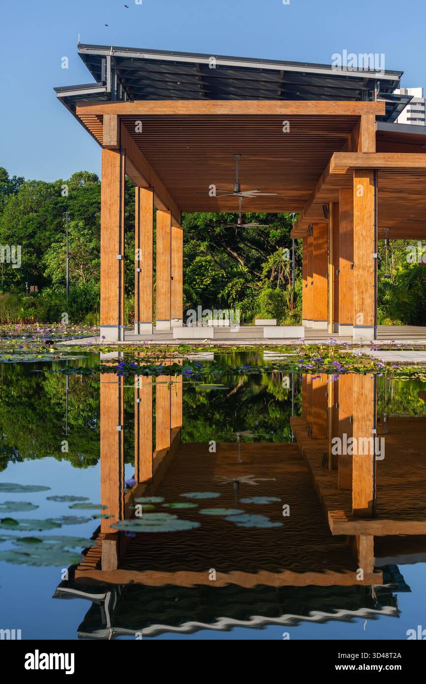 Vertical view of water lily pavilion architecture design and water ...