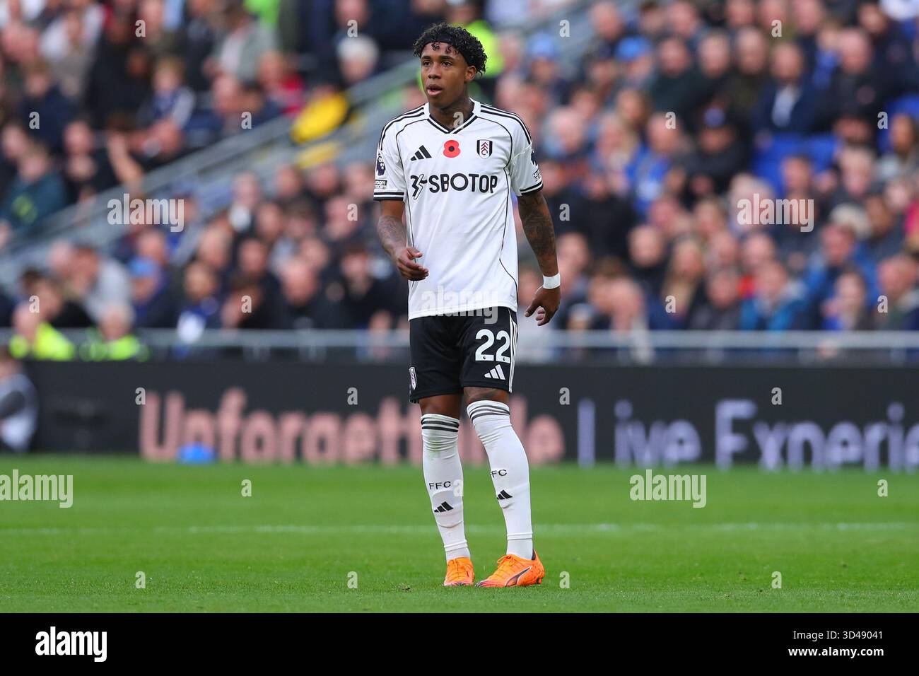 Kevin of Fulham during the Everton v Fulham Premier League match at the ...