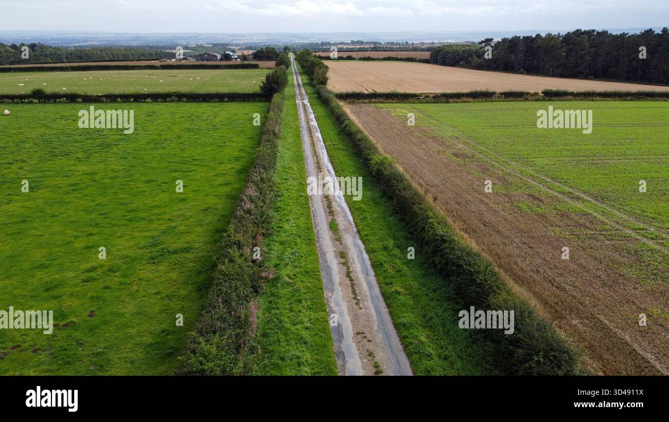 Aerial view of narrow country lane running between green and brown ...