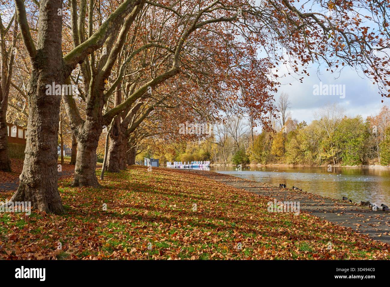 Trees and lake in autumn in Barking Park, East London, UK Stock Photo ...
