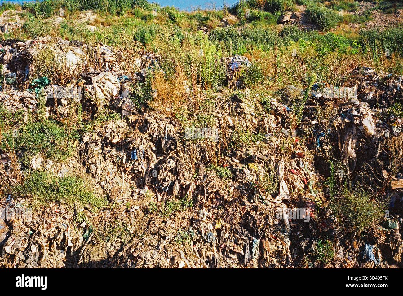 Layered landfill profile with plants growing from trash strata, sunny ...