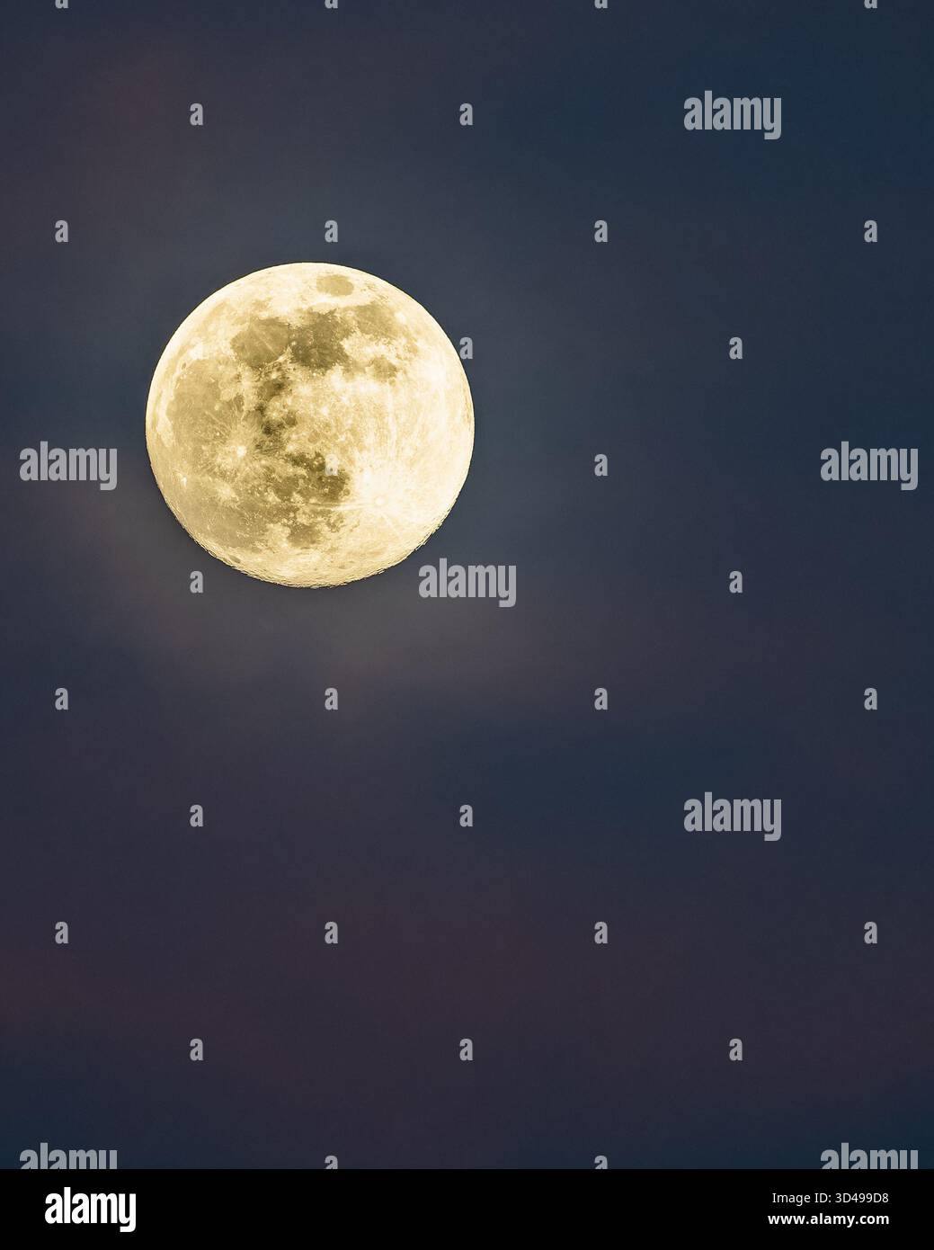 Close-up view of the full moon showing detailed surface texture against ...
