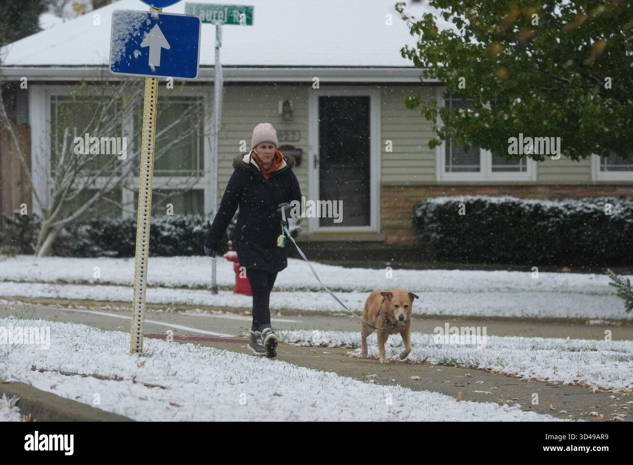 A pedestrian bundles up as she takes a walk with her dog during a snowy ...