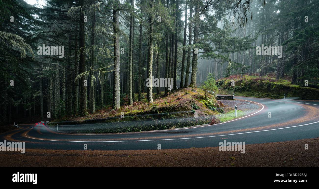 Hairpin bend, Arvore Magica, Madeira Stock Photo - Alamy