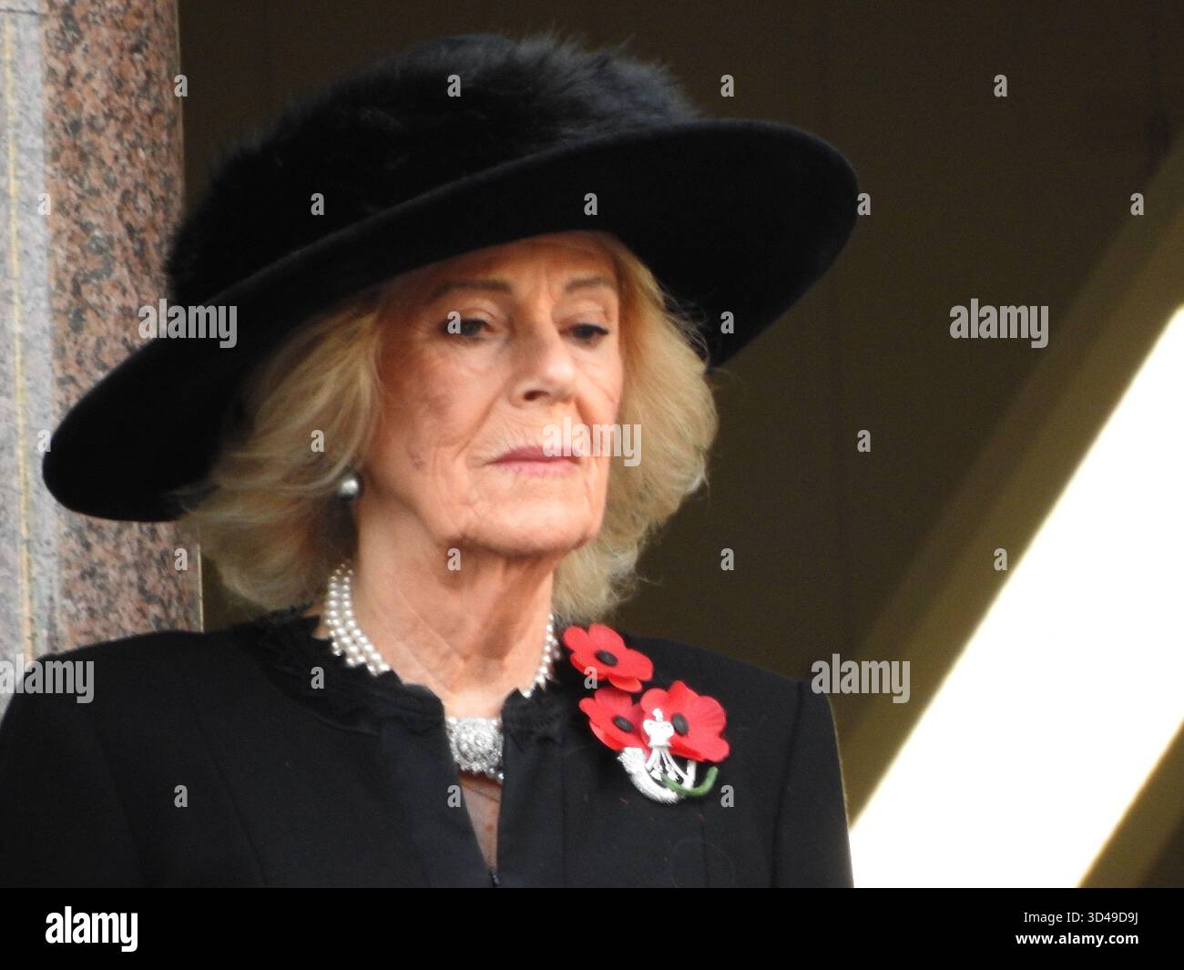 Camilla prince william cenotaph hi-res stock photography and images - Alamy