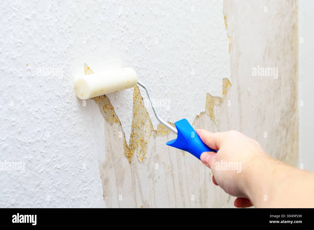 Person uses roller remove hi-res stock photography and images - Alamy