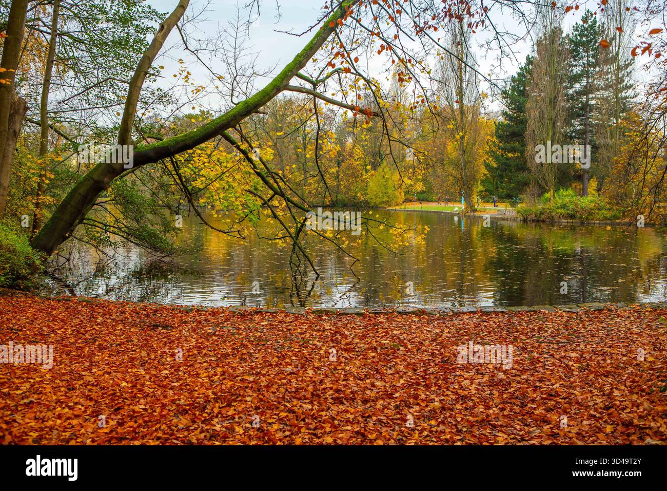 9 november 2025 hi-res stock photography and images - Alamy