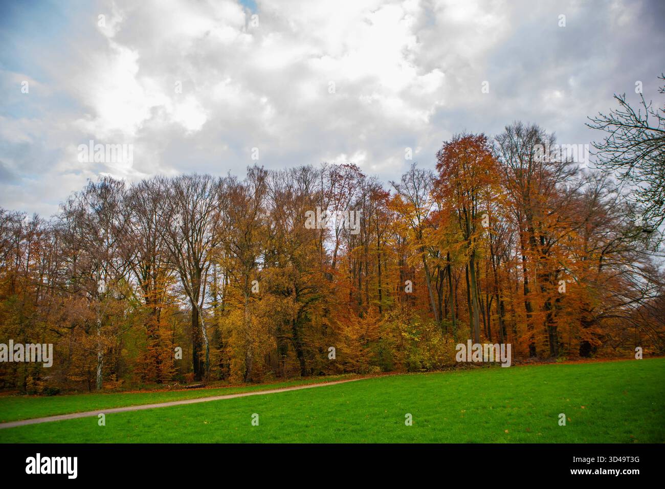 9 november 2025 hi-res stock photography and images - Alamy