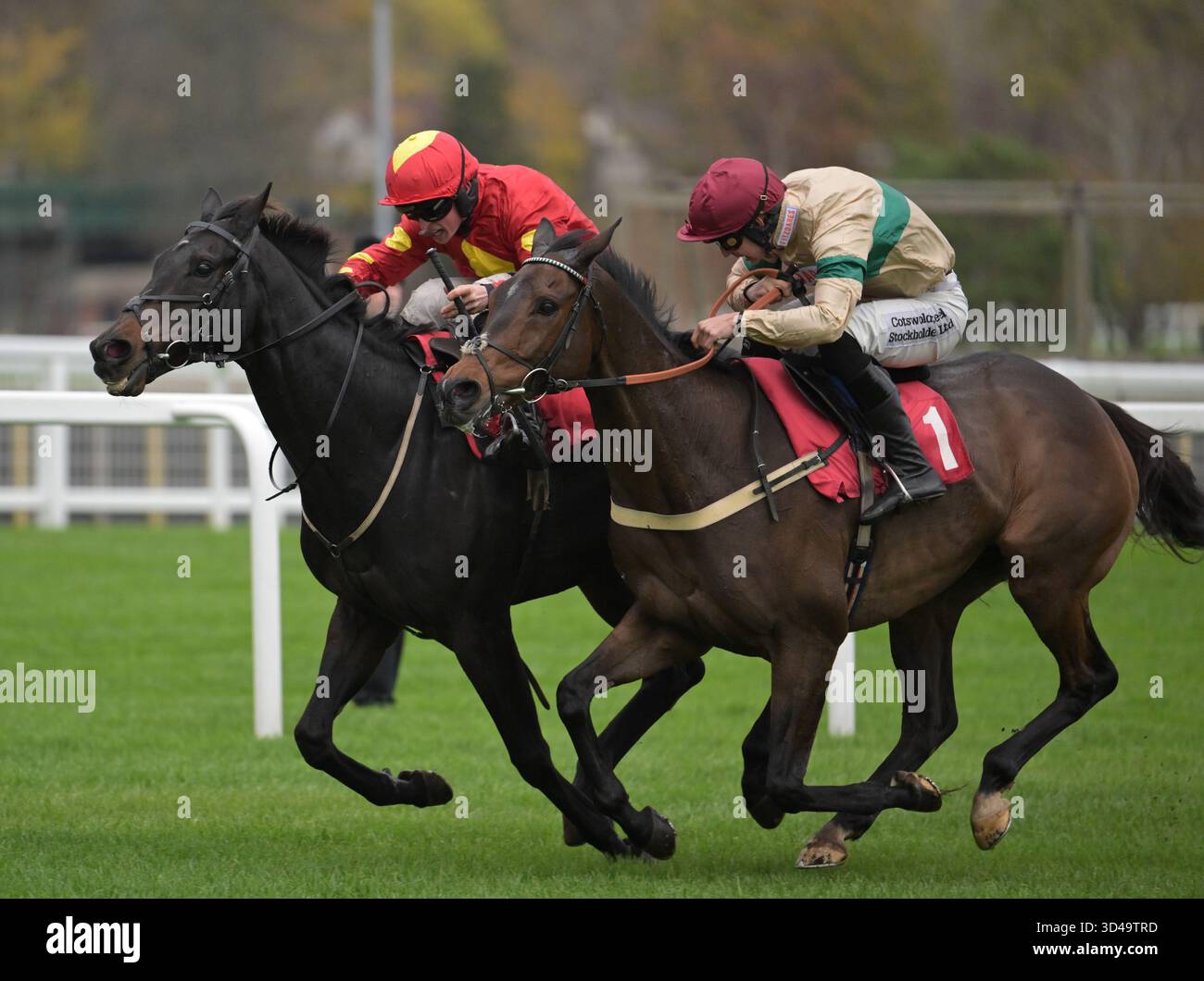 Sandown, UK. 9 November, 2025. Twig ridden by Beau Morgan and trained ...
