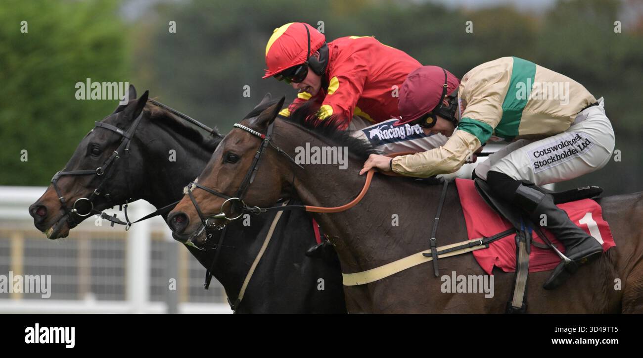 Sandown, UK. 9 November, 2025. Twig ridden by Beau Morgan and trained ...