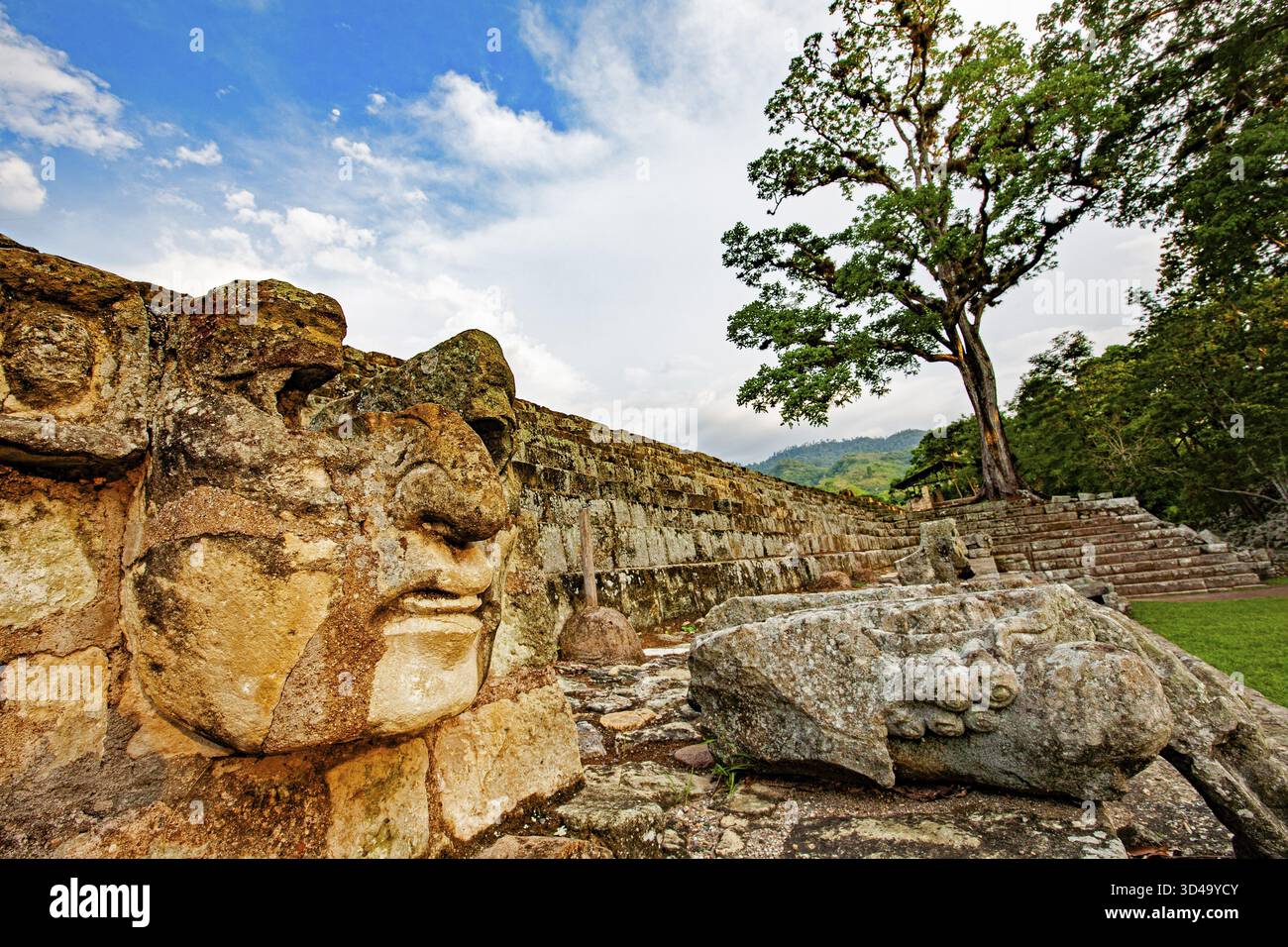 Detail of stone head in the east court of the Acropolis. The world ...
