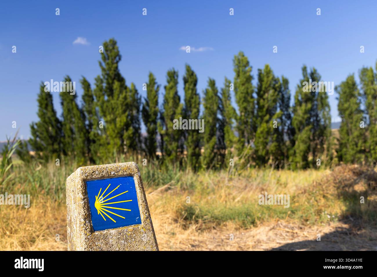 Scallop shell symbol marking the famous pilgrim route in Muruzabal ...