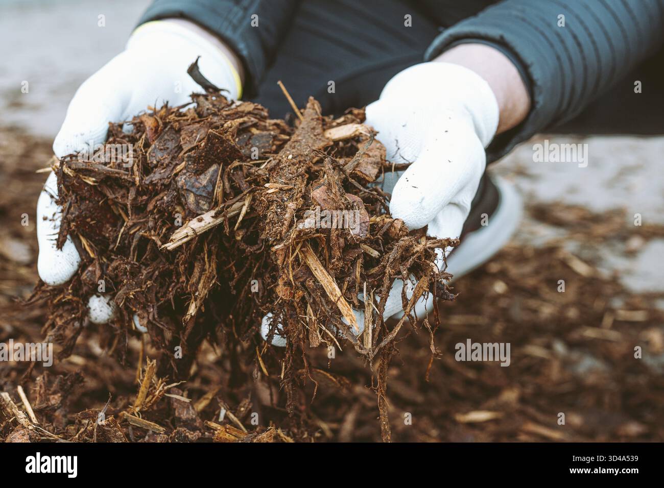 Mulching from bark tree hi-res stock photography and images - Alamy