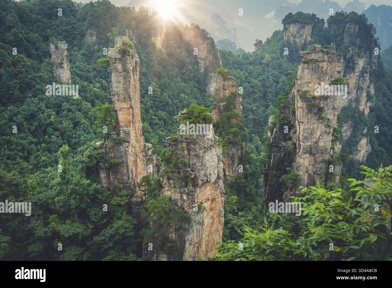 Stunning rock pillars of the tianzi mountain range, Avatar mountains ...
