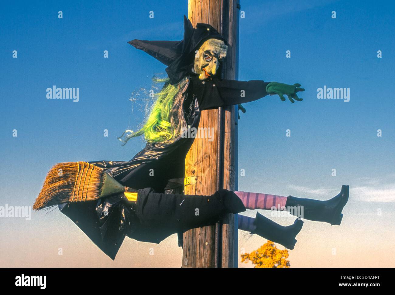 Cartoon broom hi-res stock photography and images - Alamy
