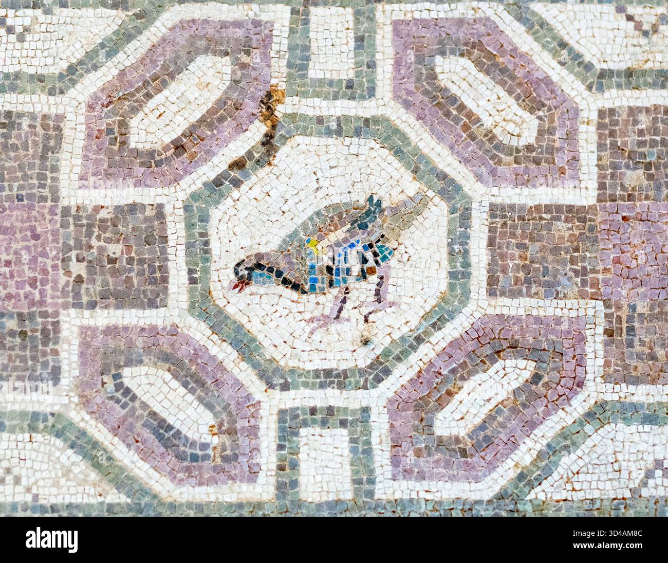 Bird depicted in a Roman floor mosaic in the House of Dionysus, Paphos ...