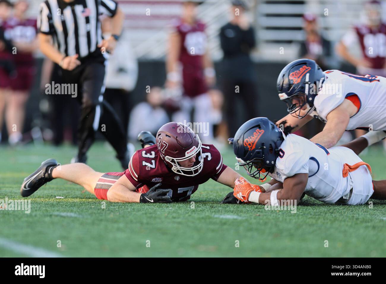 Bucknell player recovers a fumble during an NCAA football game ...
