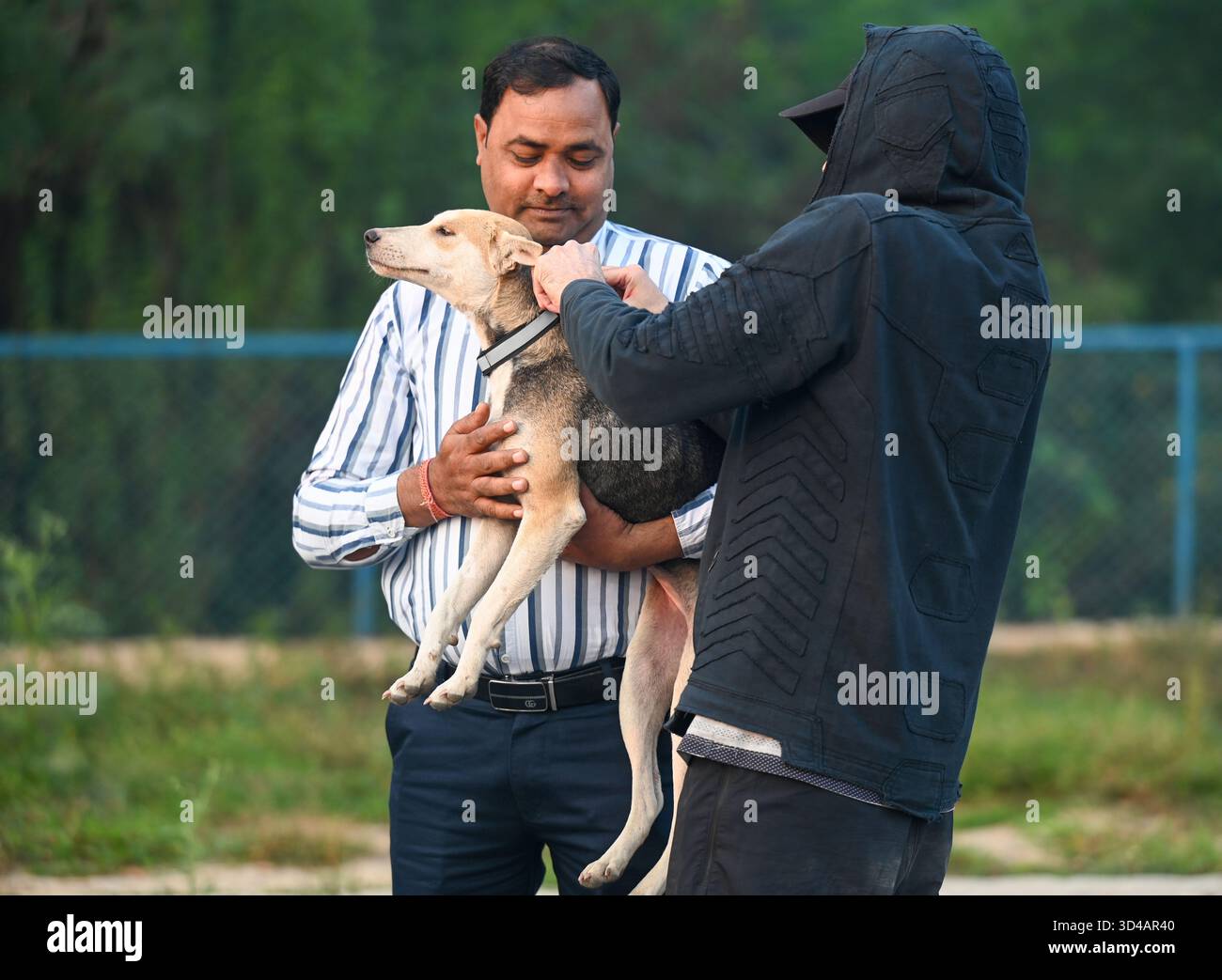 NOIDA, INDIA - NOVEMBER 9: Citizens and animal lovers protest at DND ...