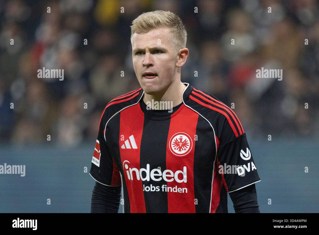 Jonathan Burkardt (Eintracht Frankfurt #9), cutout, portrait / portrait ...