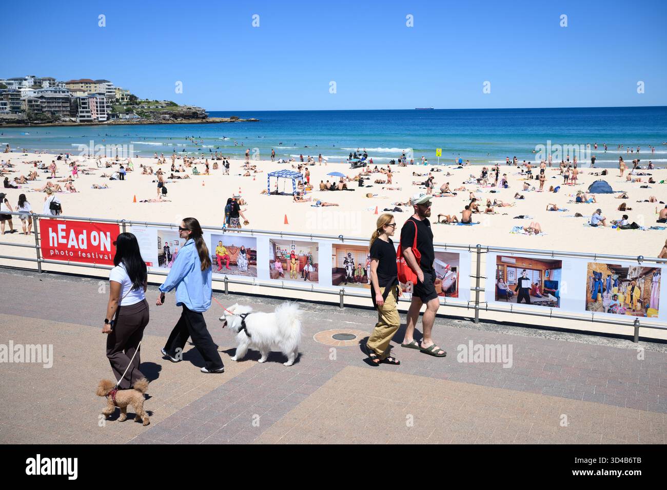 Photographic artwork is exhibited on the Bondi Beach promenade as part ...