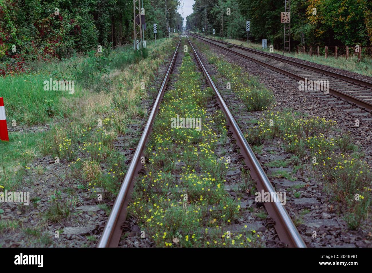 Stillgelegte Bahnlinie in der Nähe von Köln. Stillgelegtes Bahngleis ...