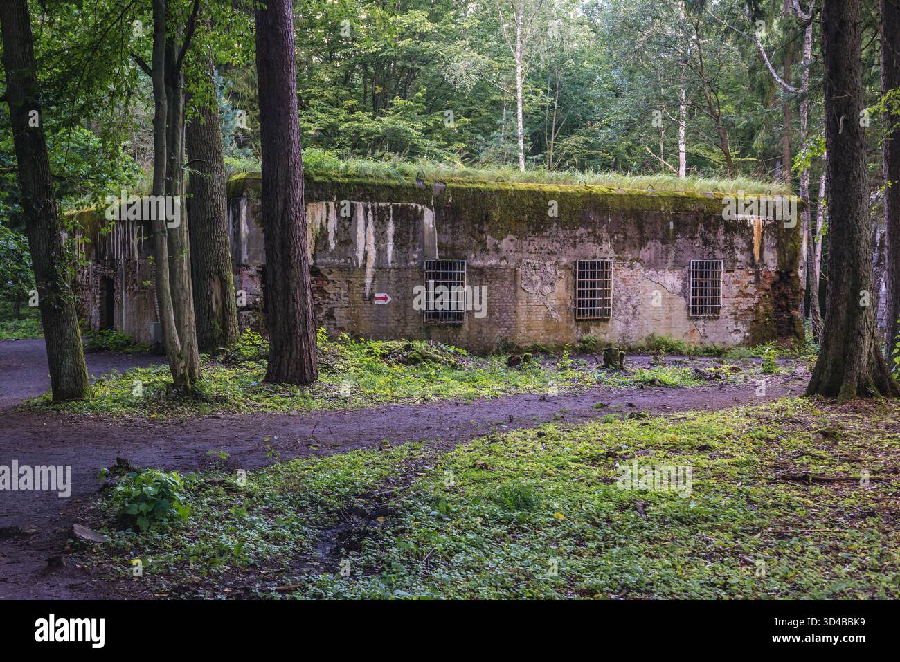 Wolf's Lair - the headquarters of Adolf Hitler and the Nazi Supreme ...