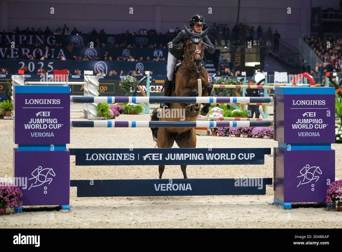 Susan Fitzpatrick from Ireland, ride Lovely Stassi PS, is in action ...