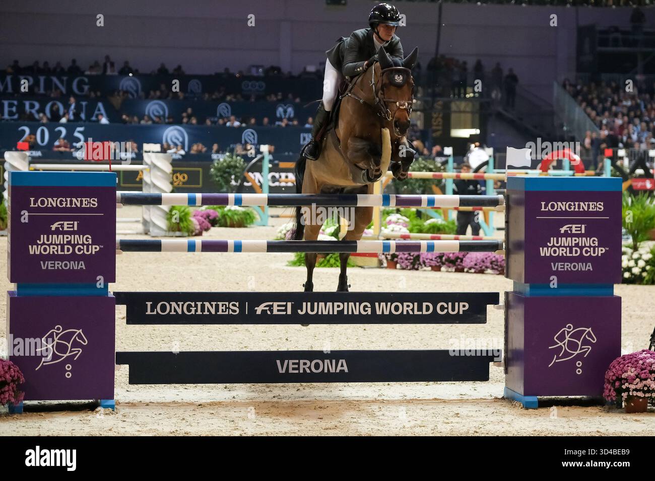 Susan Fitzpatrick from Ireland, ride Lovely Stassi PS, is in action ...
