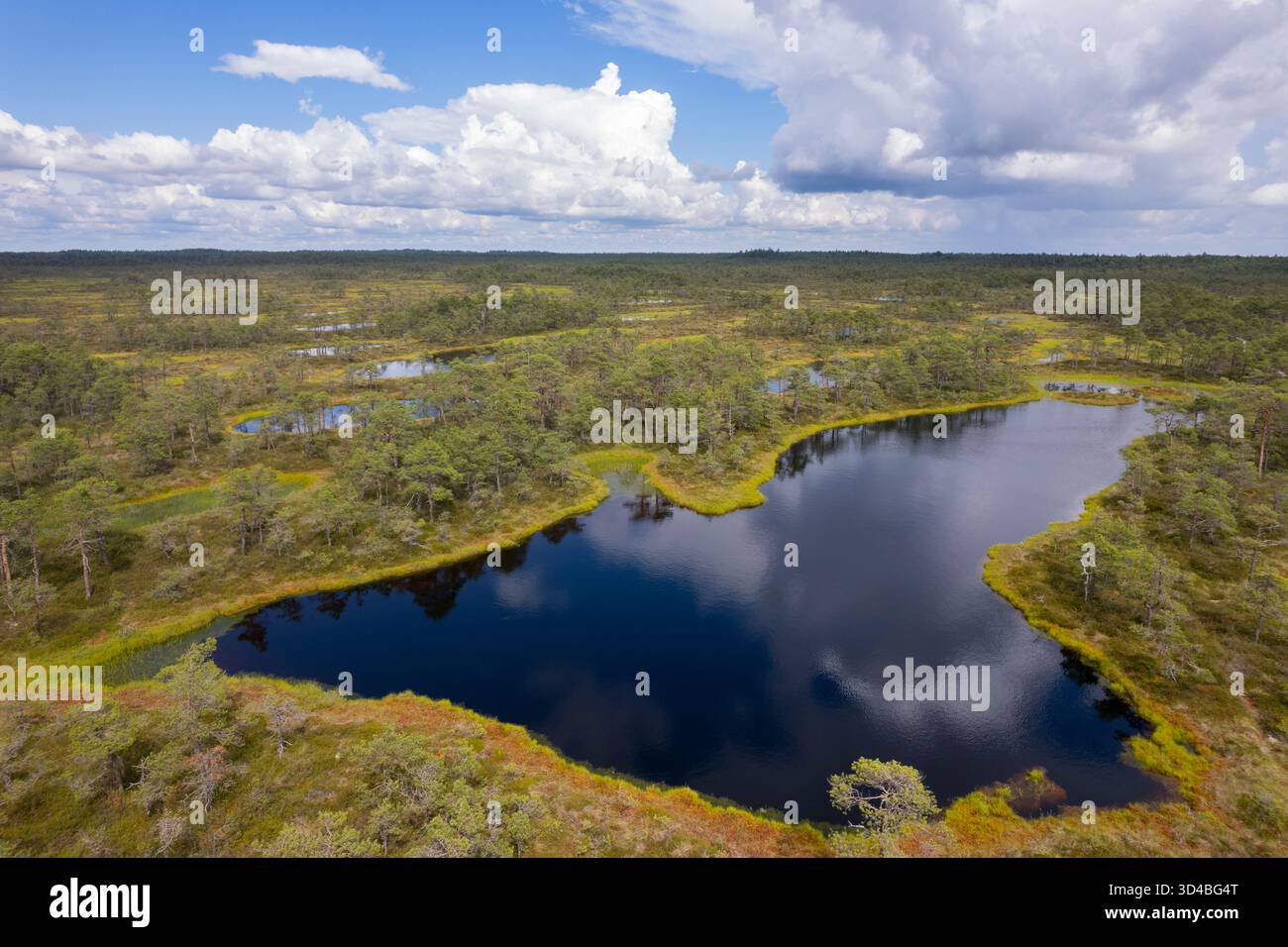Estonian scenery hi-res stock photography and images - Alamy