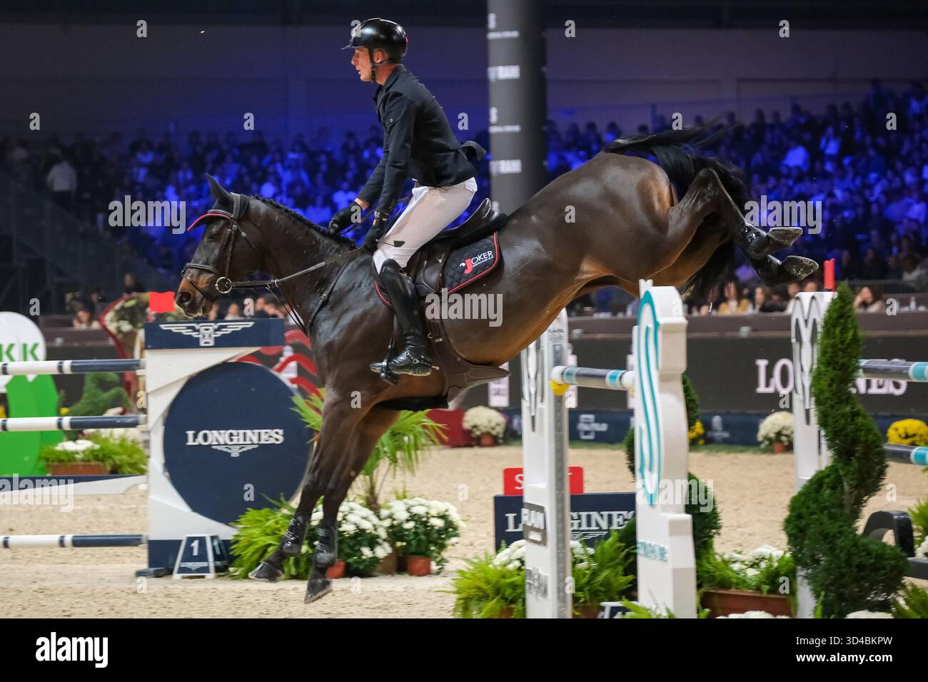 Alain Jufer from Switzerland, ride Dante MM, is in action during the ...