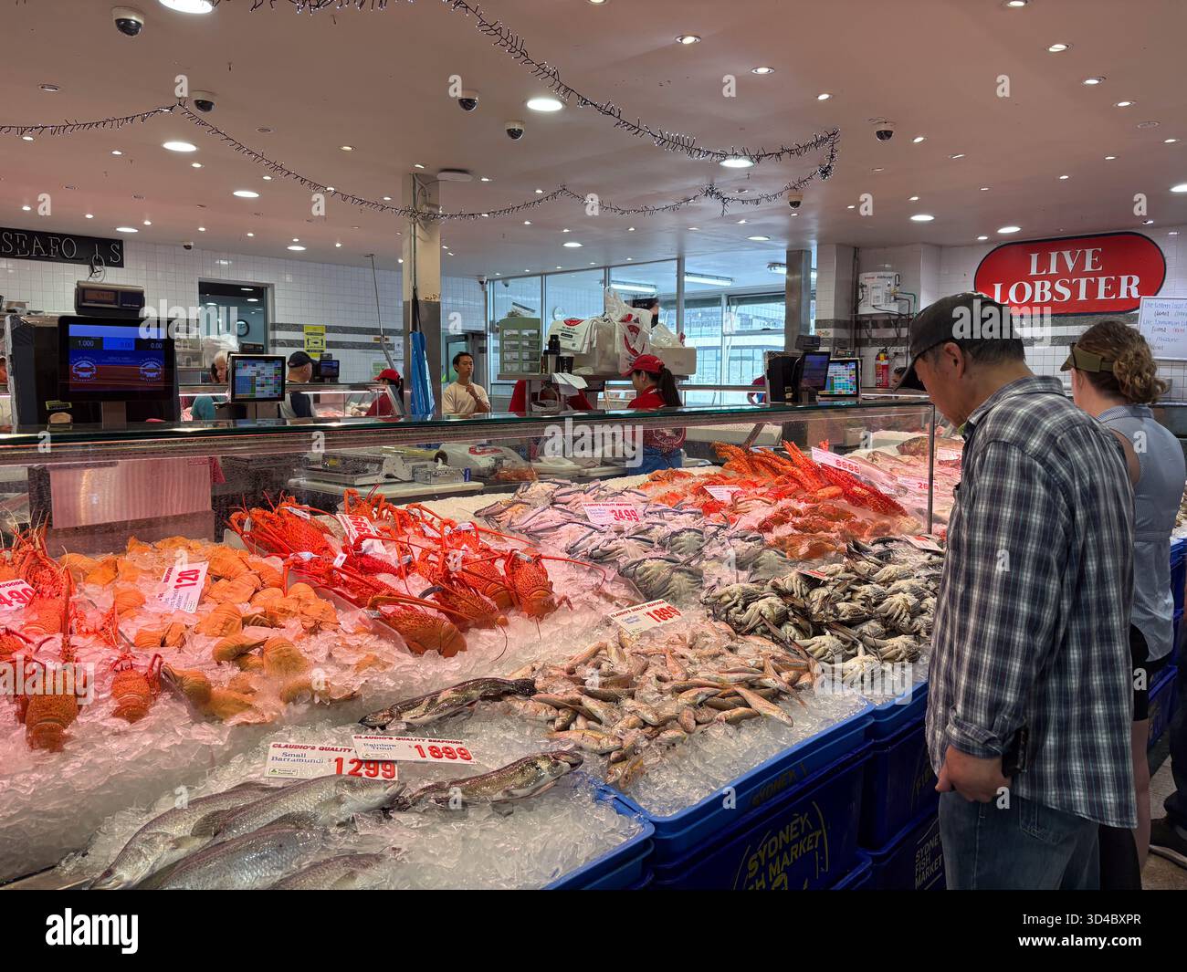Sydney Fish Market. A vibrant retail display of fresh lobsters, crabs ...