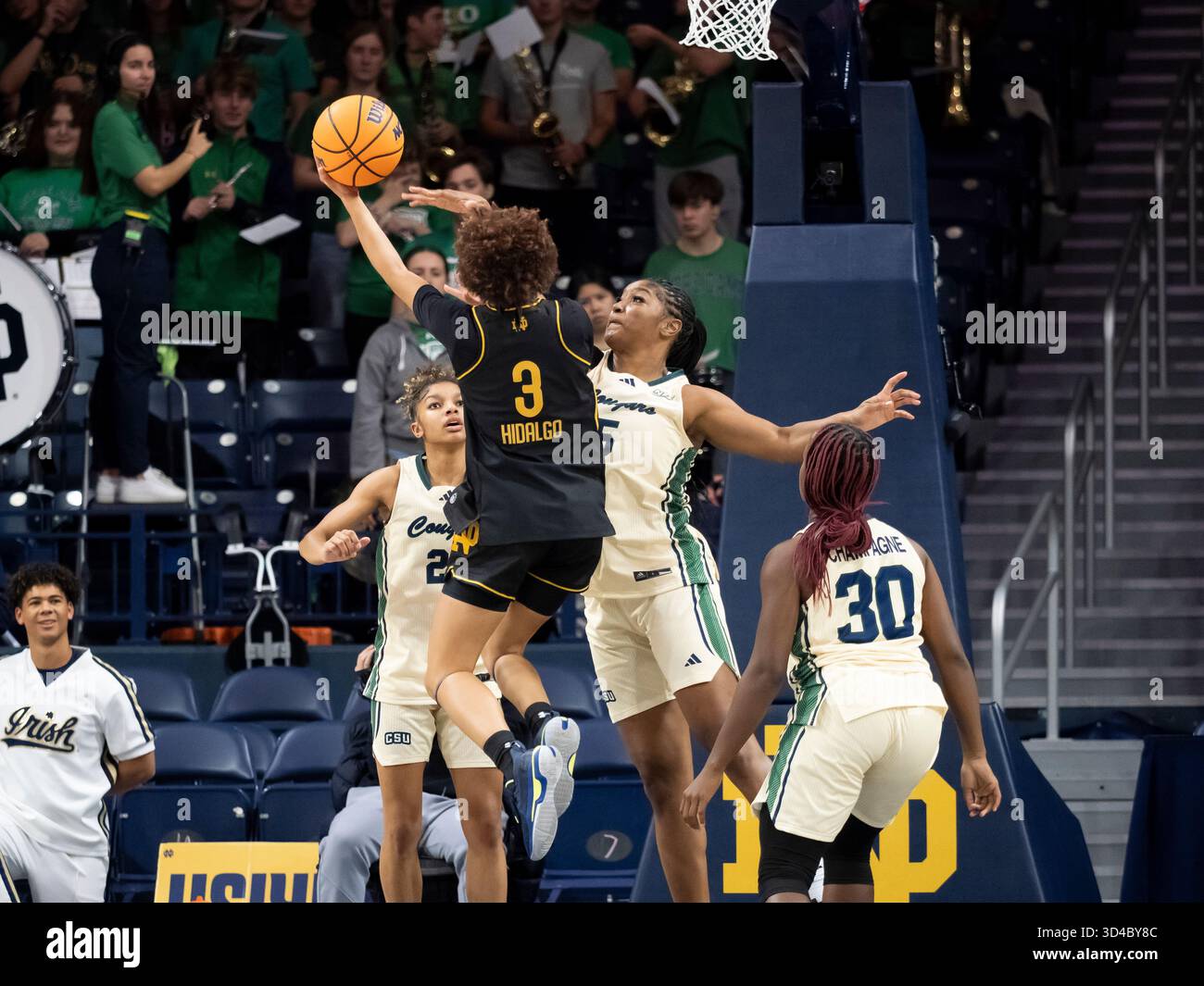 SOUTH BEND, IN - NOVEMBER 09: Notre Dame Fighting Irish guard Hannah ...