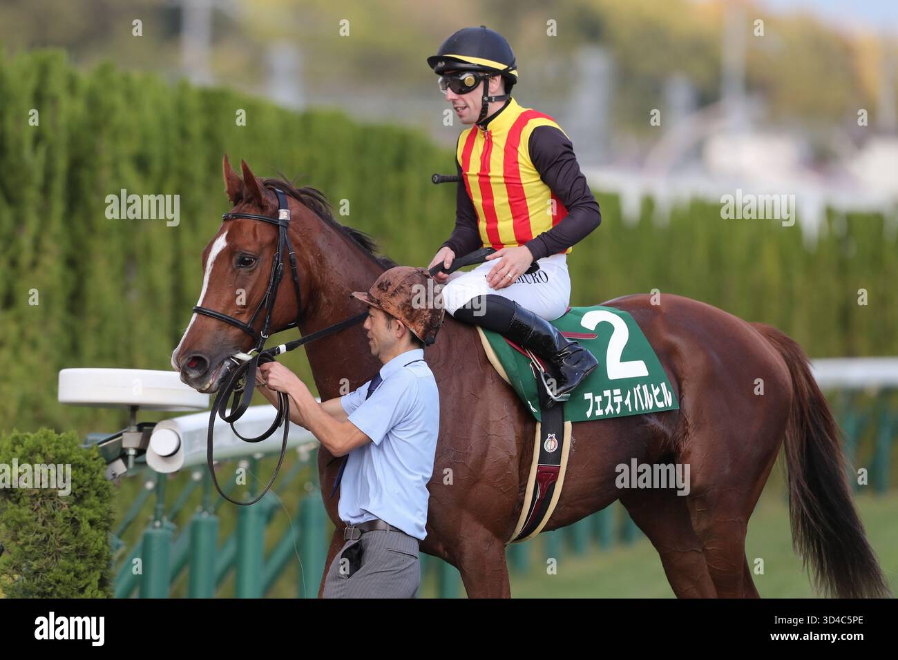 2025/11/01 KYOTO 11R THE KBS KYOTO SHO FANTASY STAKES / 1 / Festival Hill / Cristian Demuro ...