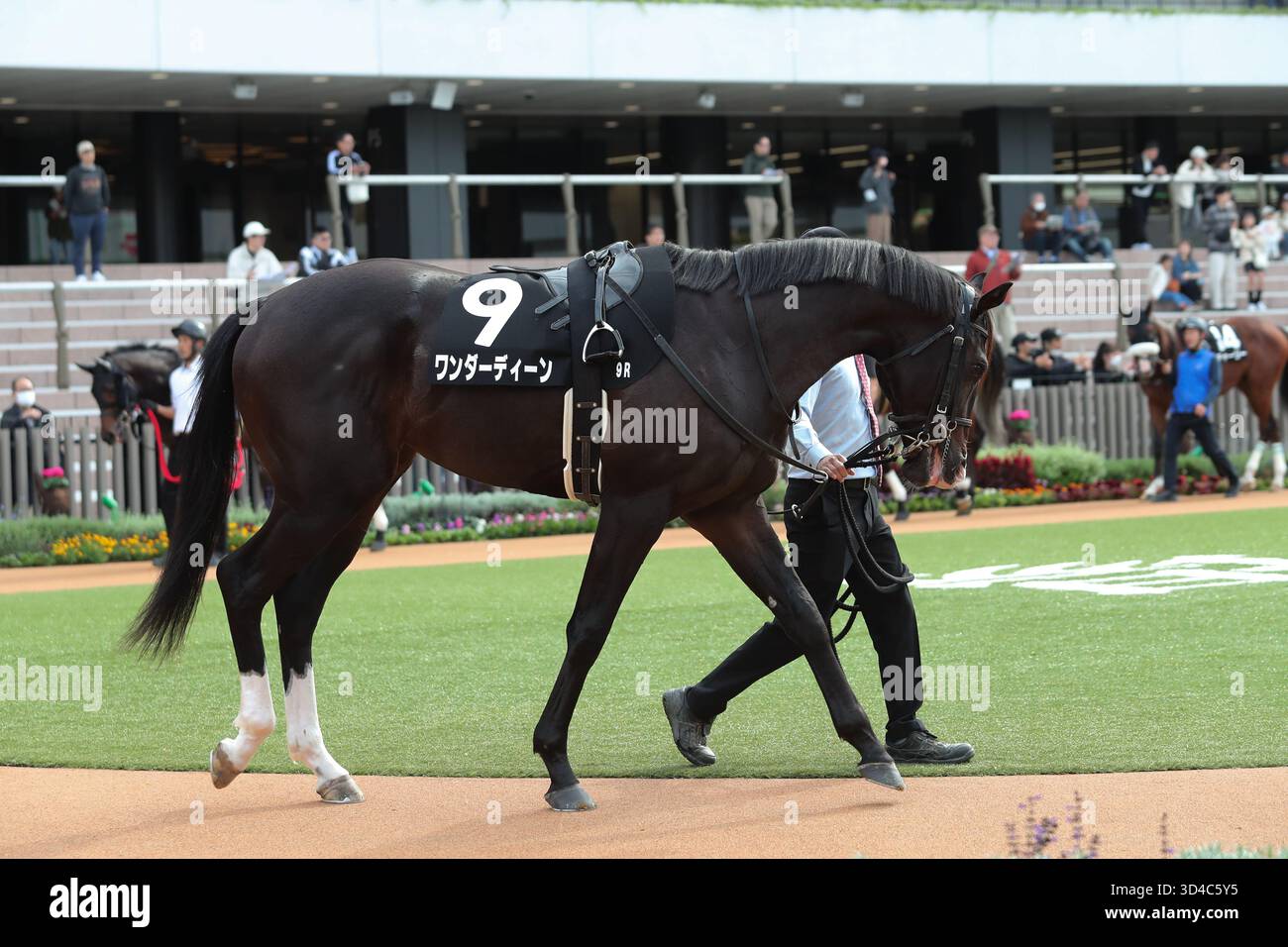 2025/11/02 KYOTO 09R 1 MOCHINOKI SHO 2 / 3 / Wonder Dean Kyoto ...