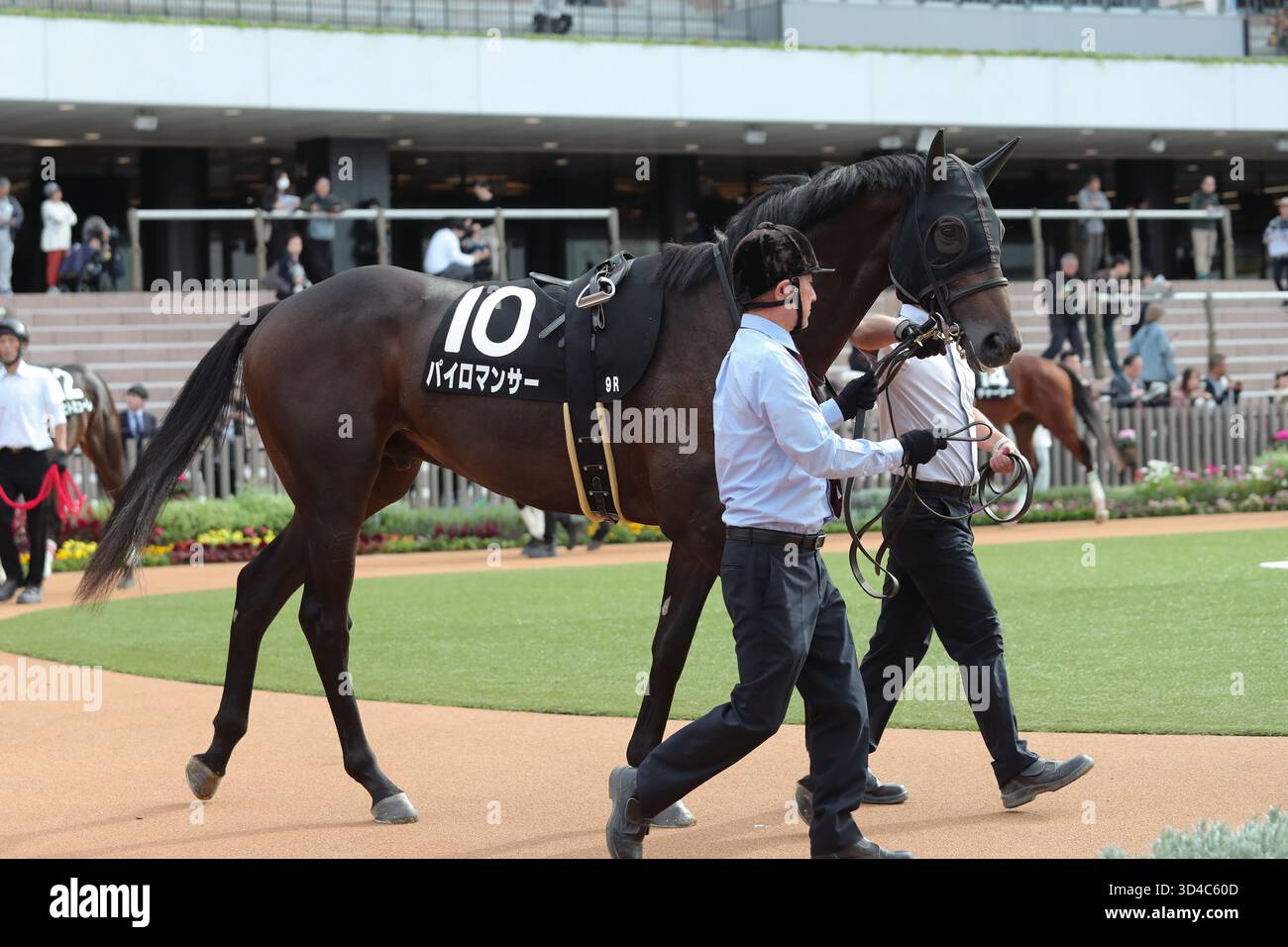 2025/11/02 KYOTO 09R 1 MOCHINOKI SHO / 1 / Pyromancer Kyoto Racecourse ...