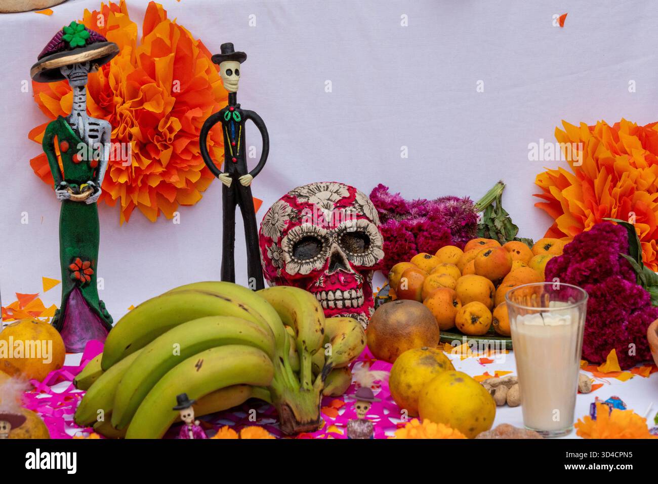 A table with a skull, two skeletons, and fruit. The skull is surrounded ...