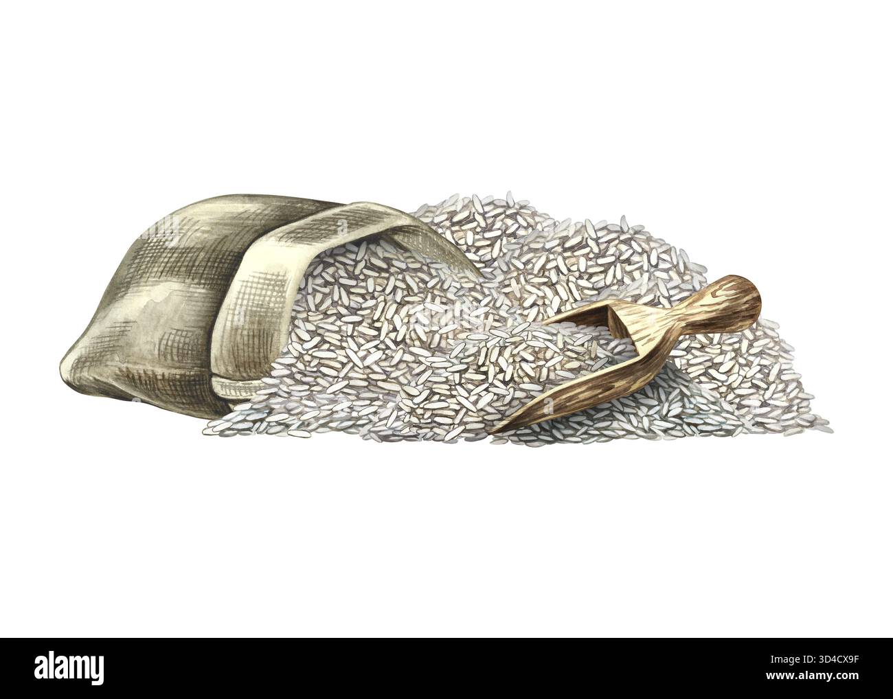 An open burlap sack of rice and a wooden spatula. Hand-drawn watercolor ...