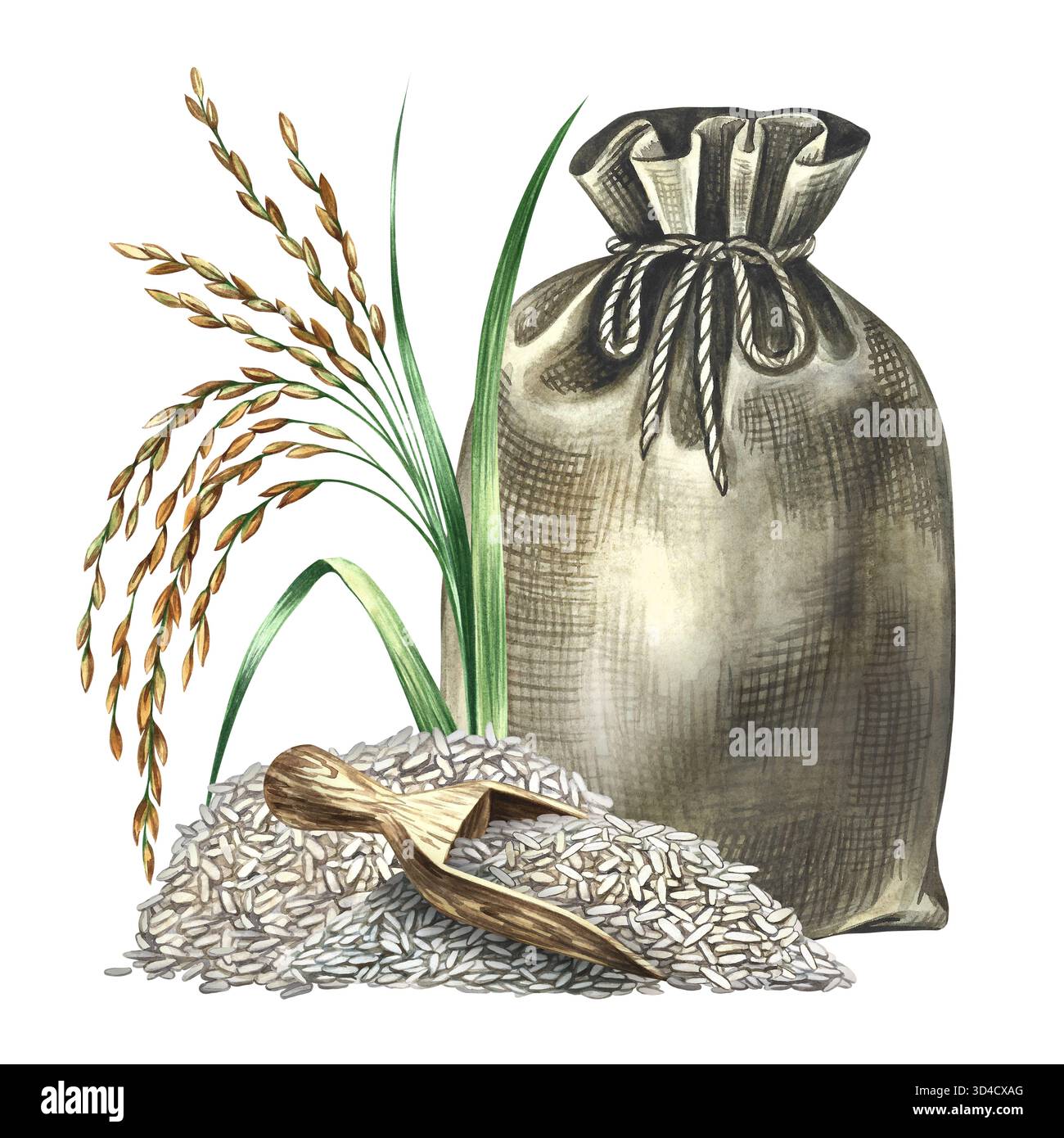 Sacks of rice, a wooden scoop, and a rice spike next to them. Hand ...