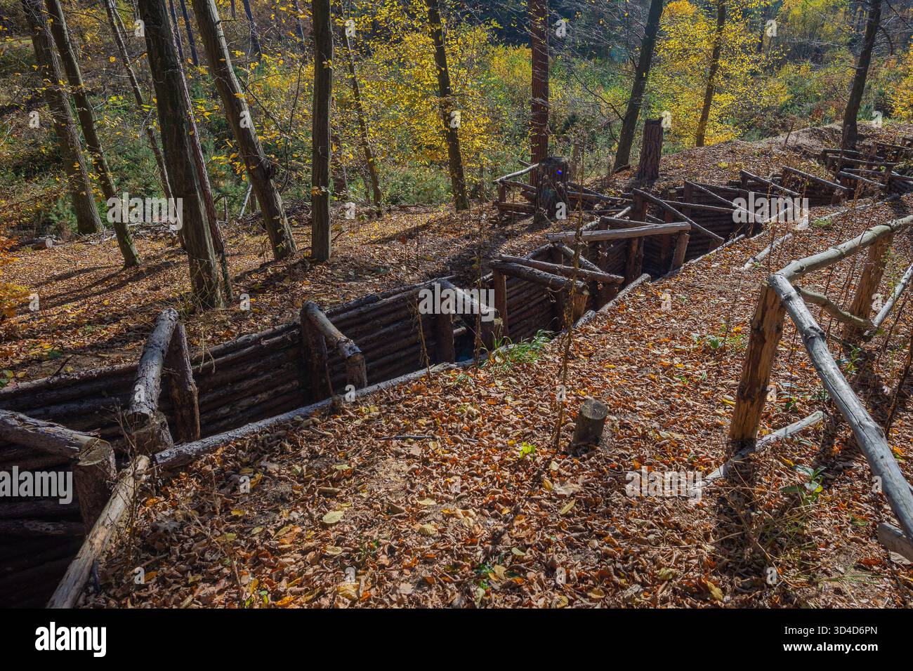 Exploring an autumn scene of rustic wooden trenches surrounded by ...