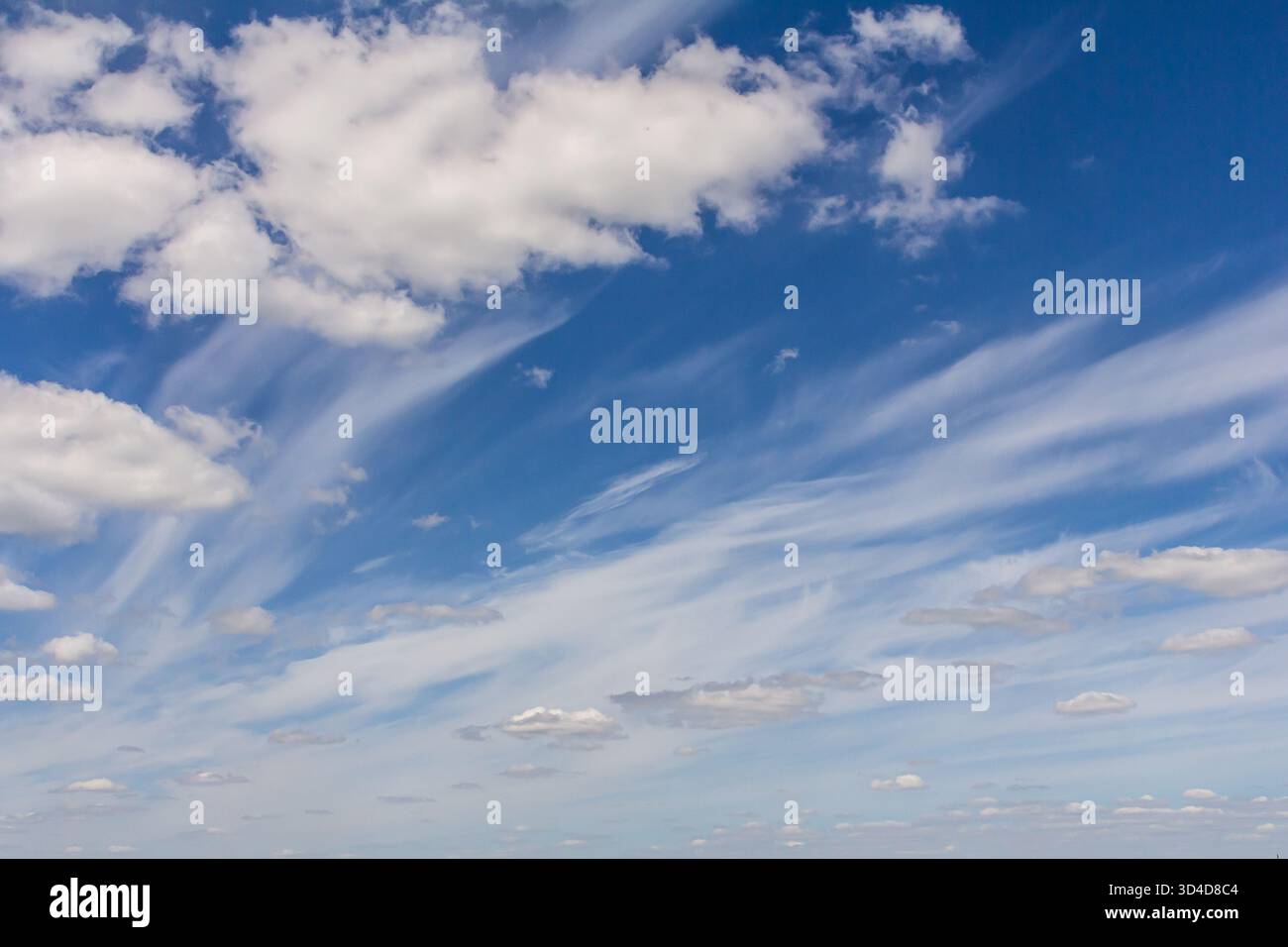 Bright blue sky features scattered wispy clouds gliding gracefully ...