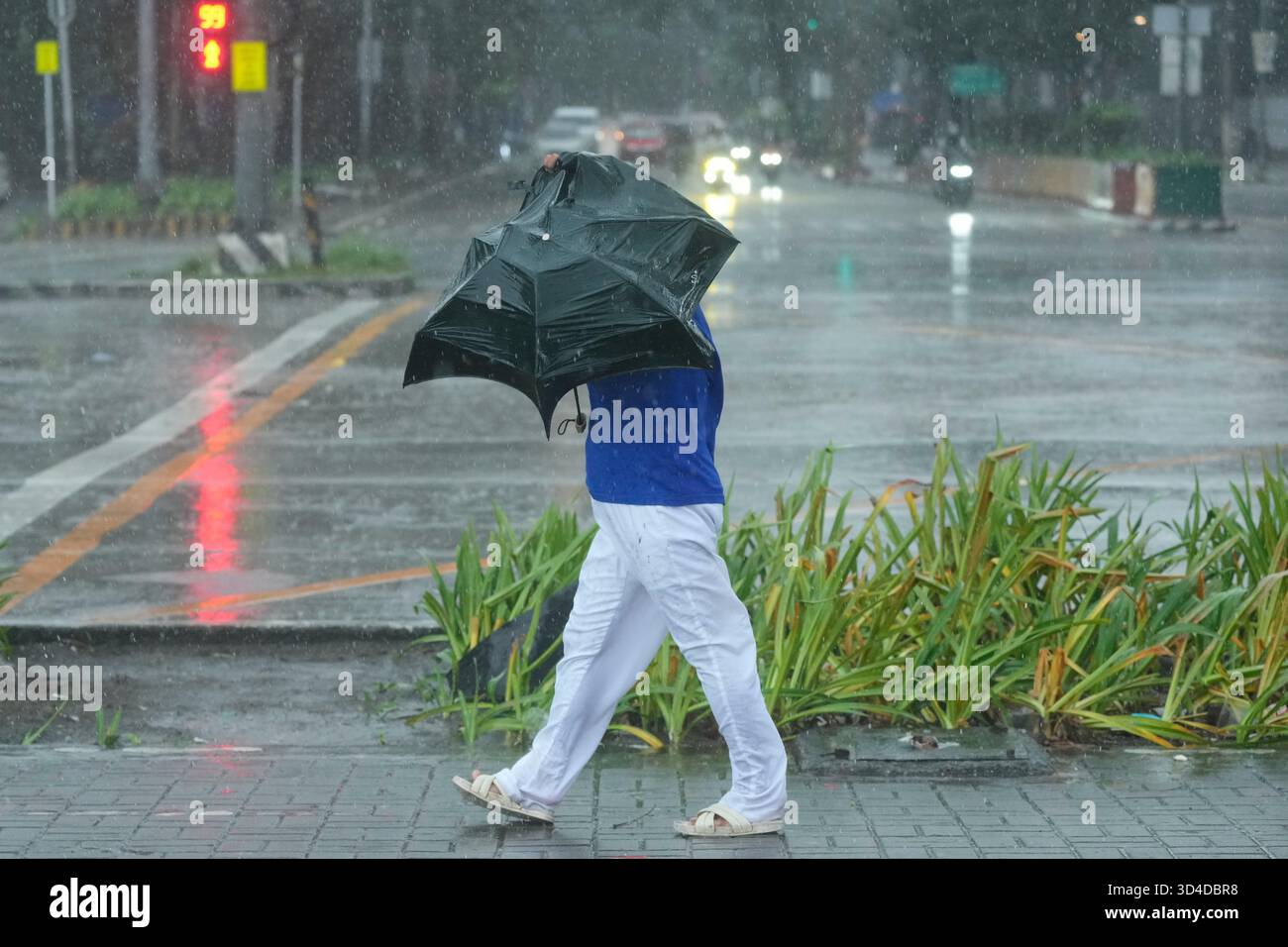 A woman tries to hold her umbrella during strong winds due to Typhoon ...