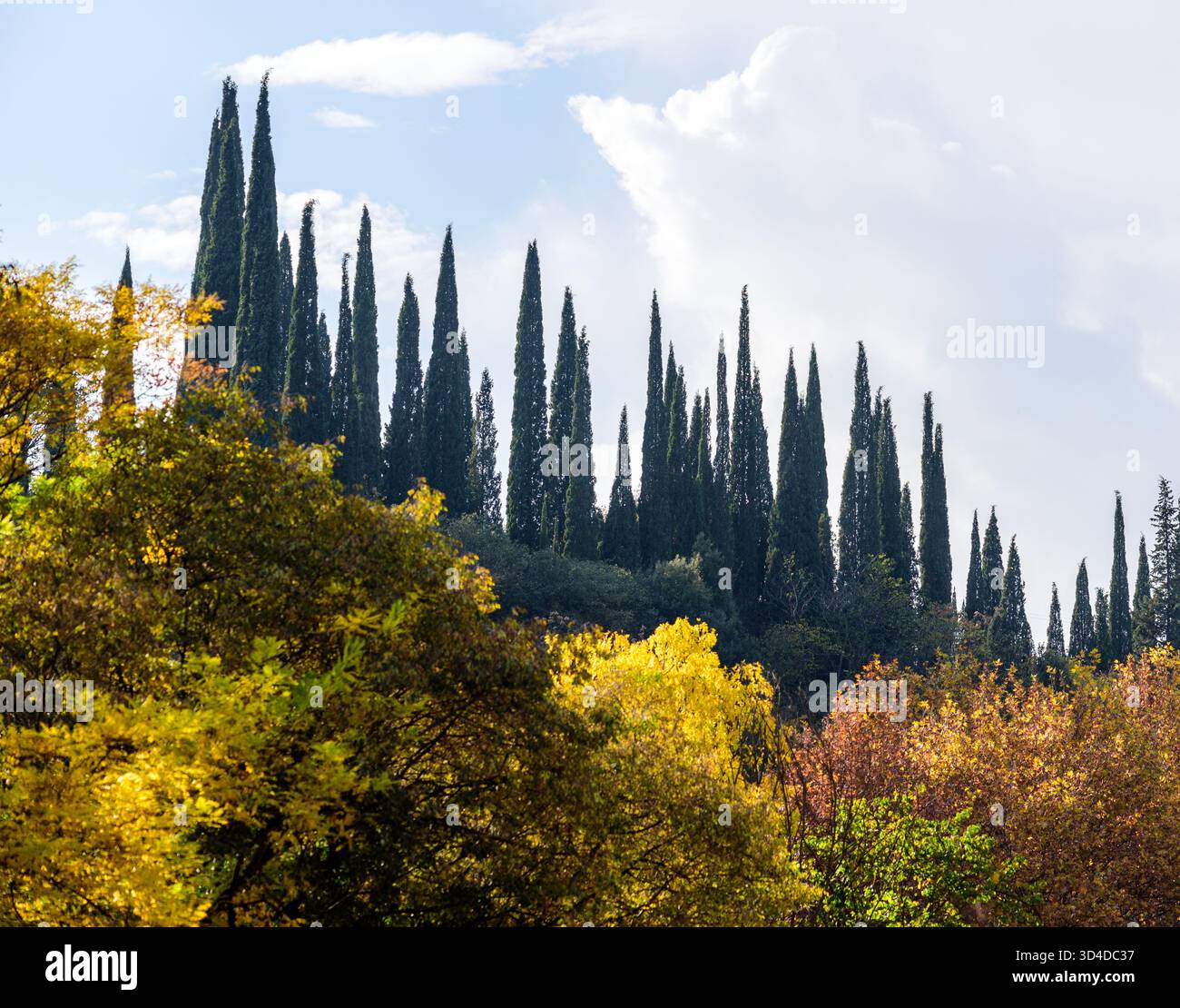 Autumn foliage in the National Botanical Garden in Sololaki hills in ...