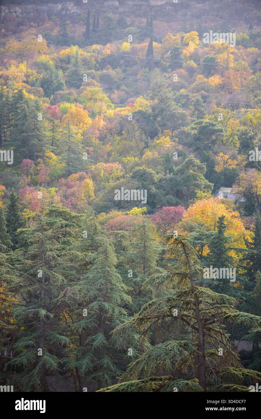 Autumn foliage in the National Botanical Garden in Sololaki hills in ...